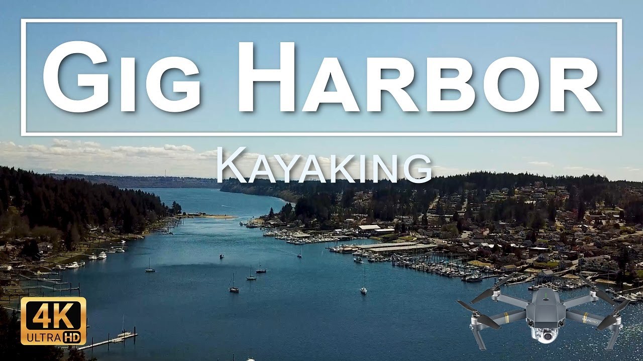 Gig Harbor WA Kayaking 4K UHD - What's up with all the seals?! - YouTube