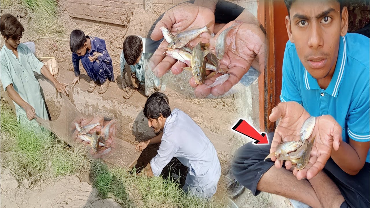 100+ Fishes Pakad Li Bahut Sari 😯🥰 || Fish trap || Fishs Pakad Le ...