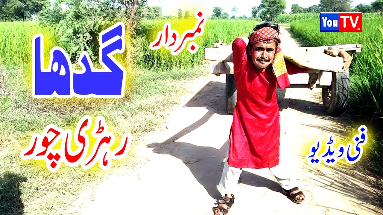 Number Daar Rehri Chor Funny| New Top Funny | Must Watch Top New Comedy ...