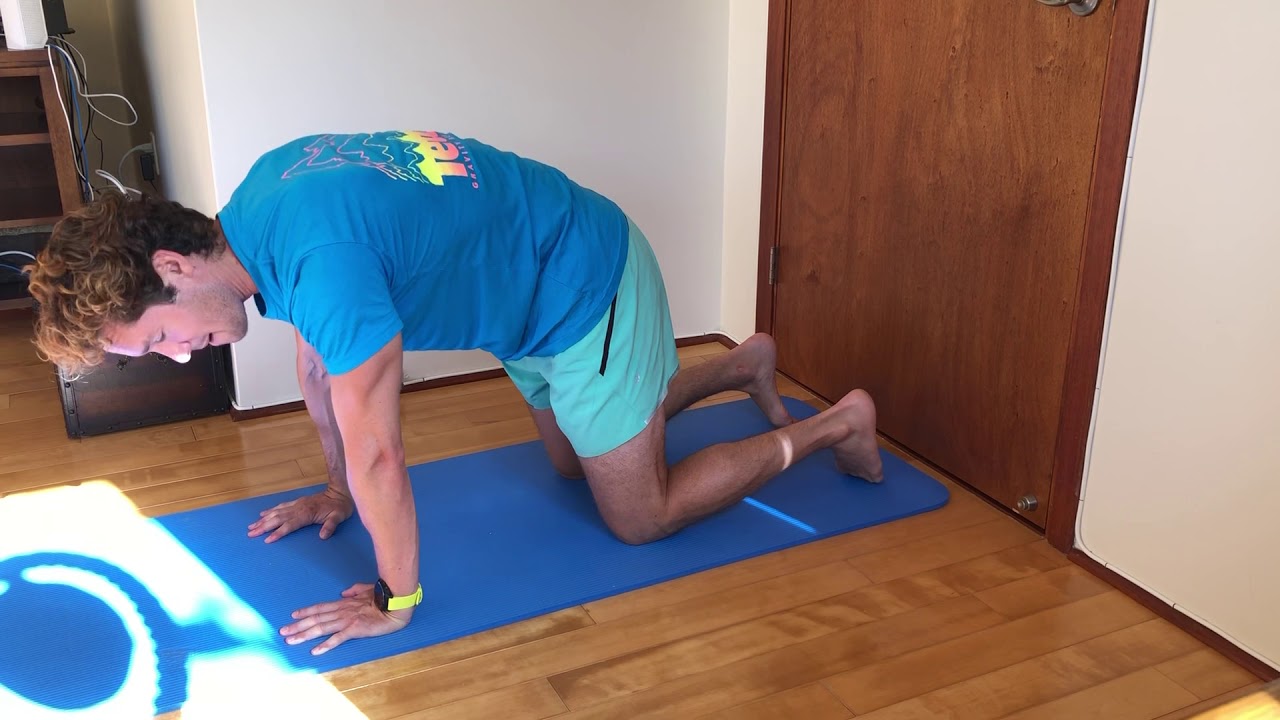 All Fours Paraspinal Inhibition - YouTube