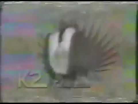 KTWO-TV 2 ID 1987 - YouTube