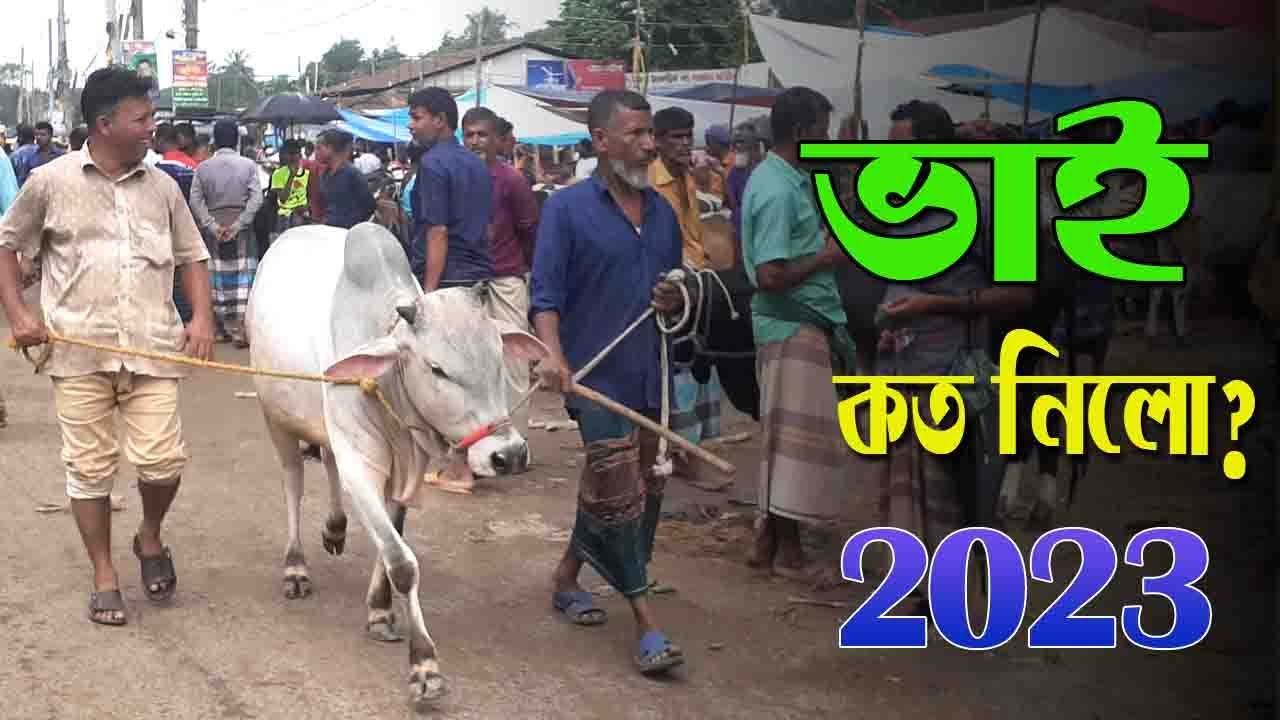 Bhai Koto Nilo? Gabtoli Gorur Haat 2023-Part 77 |Qurbani Cow Price in ...