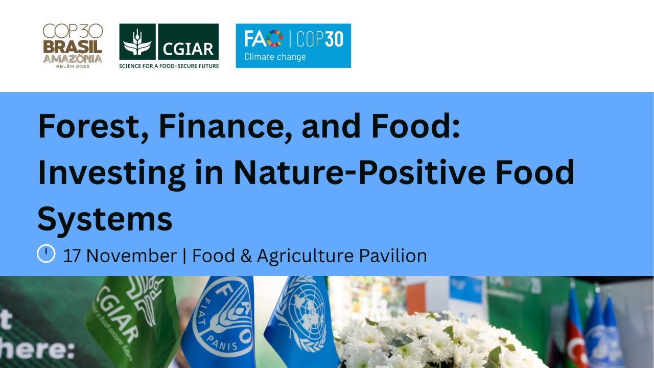 Forest, Finance, and Food: Investing in Nature-Positive Food Systems ...
