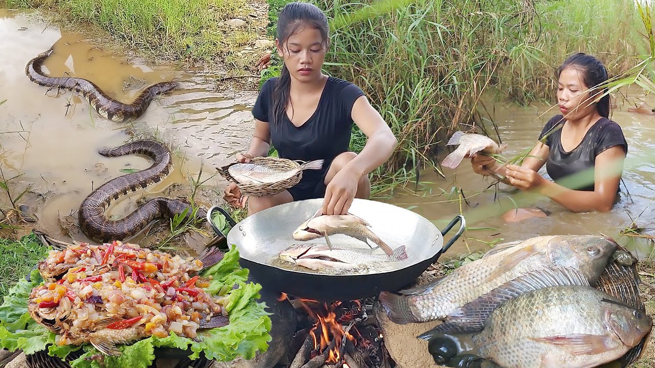 Survival in the rainforest, Catch and cook snake, Snake soup tasty, Fish curry spicy for dinner ...