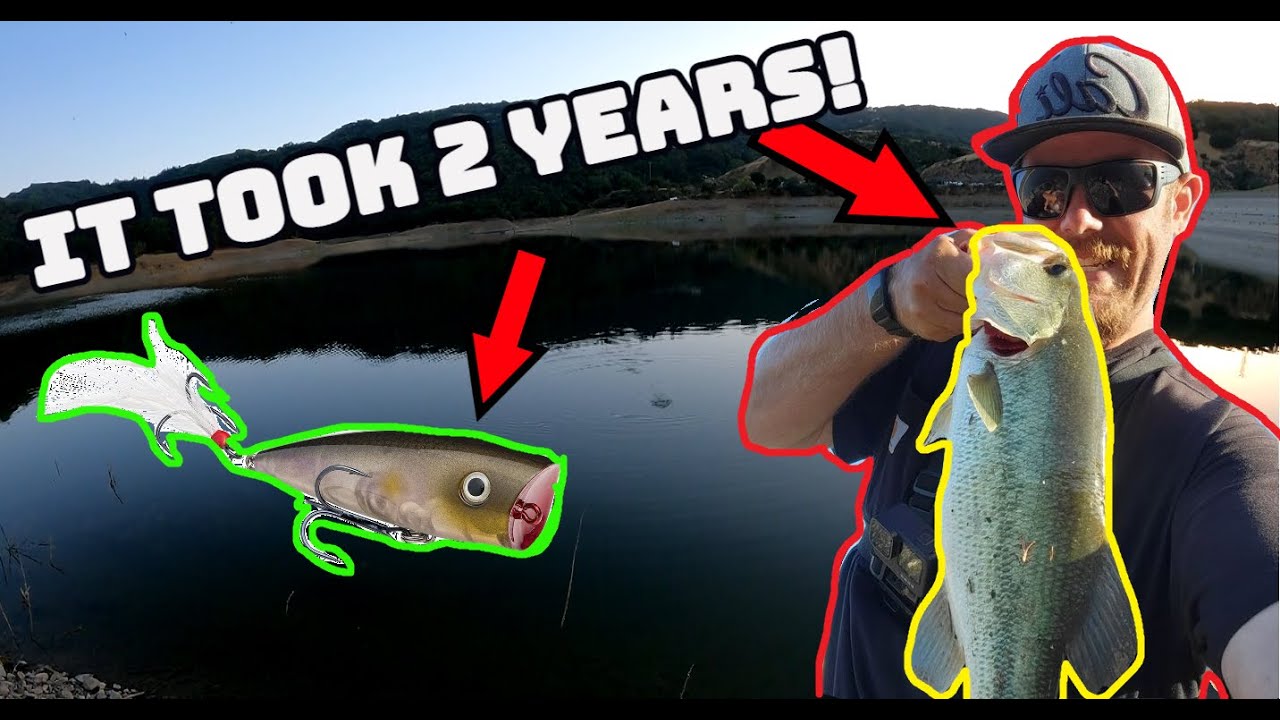 Finally! Topwater Bass (Fishing Stevens Creek Reservoir) - YouTube