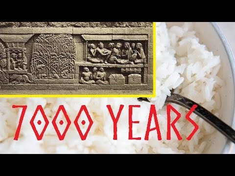 The History of Rice and Top Season - YouTube