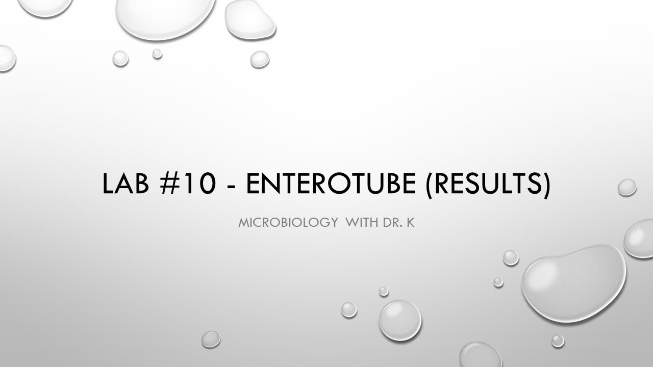 Lab #10 - Enterotube - results - YouTube