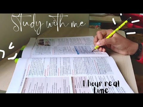 🔴 one hour STUDY WITH ME (no background 🎵)#studywithme - YouTube