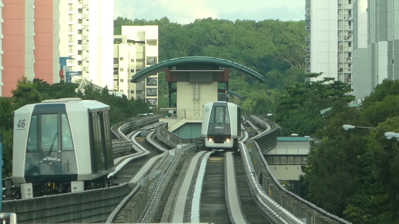プンゴルLRT東環状線メリディアン～コーヴ Punggol LRT Line East Loop C810 Train - YouTube