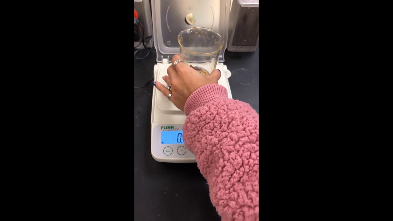 Lab 7 3 day 2 - YouTube