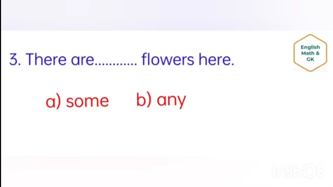 Test||Any / some||English grammar||beginners level||Kids. - YouTube