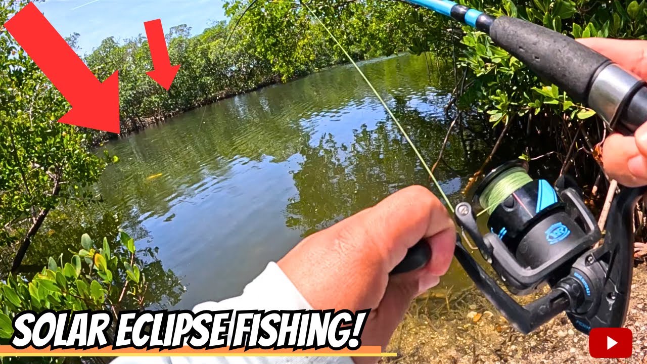 Fishing During the SOLAR ECLIPSE for Whatever BITES! (Saltwater Fishing ...