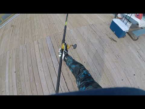 Most embarrassing fishing moment packed pier. How to look bad casting Avet reel.