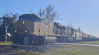 P42DCs/AMTK! Amtrak #199 leads a WB Sunset Limited to Lake Charles, La Amtak station!!! - YouTube