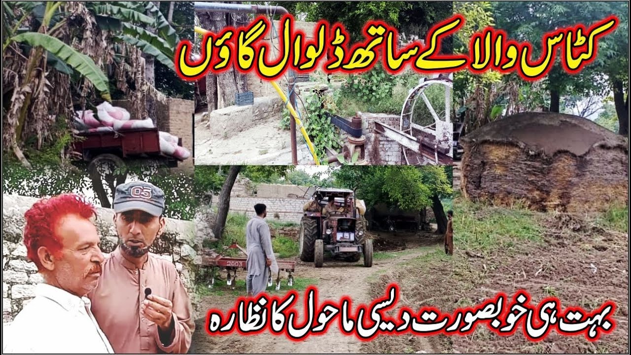 Dalwal Village Ka Khubsorat Dera /کٹاس والاکے ساتھ ڈلوال گاؤں میں بہت ...