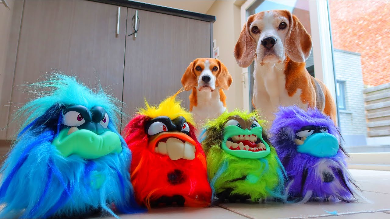 Dogs vs Annoying GRUMBLIES Prank : Funny Dogs Louie & Marie - YouTube