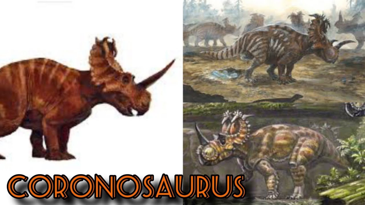 CORONOSAURUS BRINKMANI-LAGARTO COROADO-FALANDO SOBRE DINOSSAUROS-(#131 ...