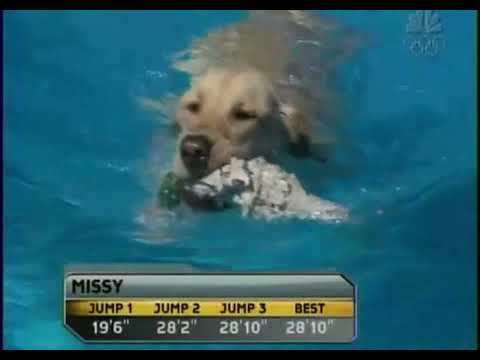Missy gets 28 Feet 10 Inches 28’10” from 2006