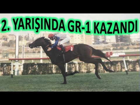 (G1) 1989 ÇALDIRAN KOŞUSU | BARBAR