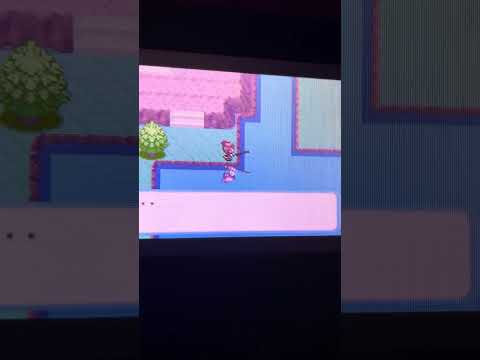 How to get tuna in pokemon ruby - YouTube