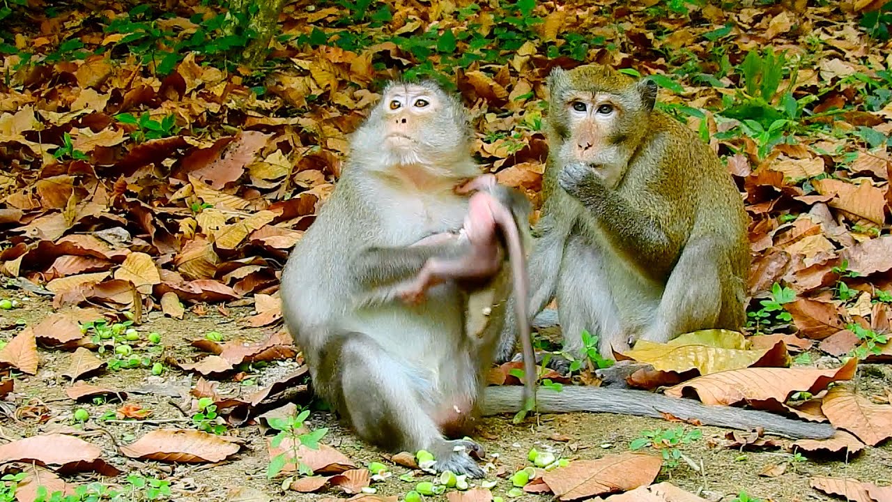 Get on my back, I am taking you - YouTube