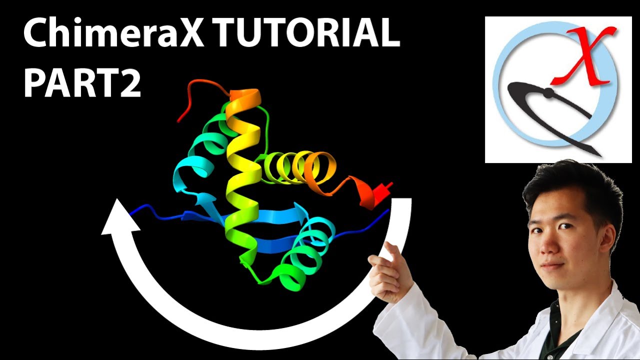 ChimeraX Tutorial | Moving 3D Proteins - YouTube
