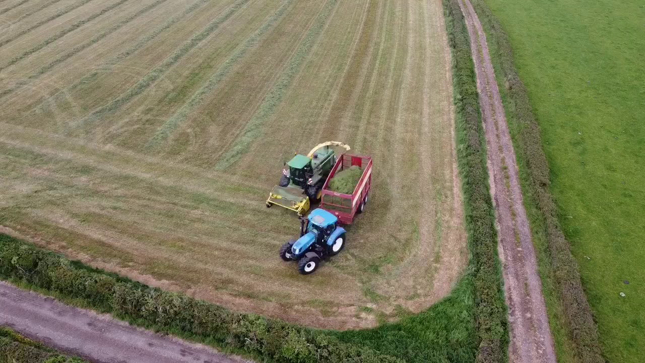 Derrylettiff Lifting Grass - YouTube