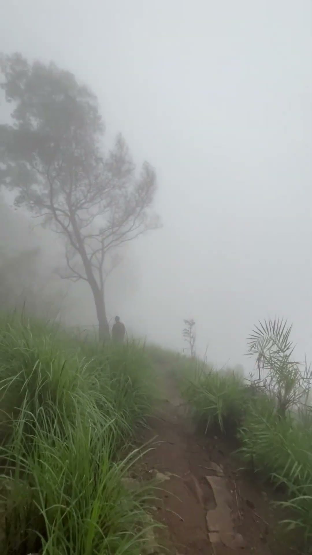 Misty heaven #uppukunnu #idukki - YouTube