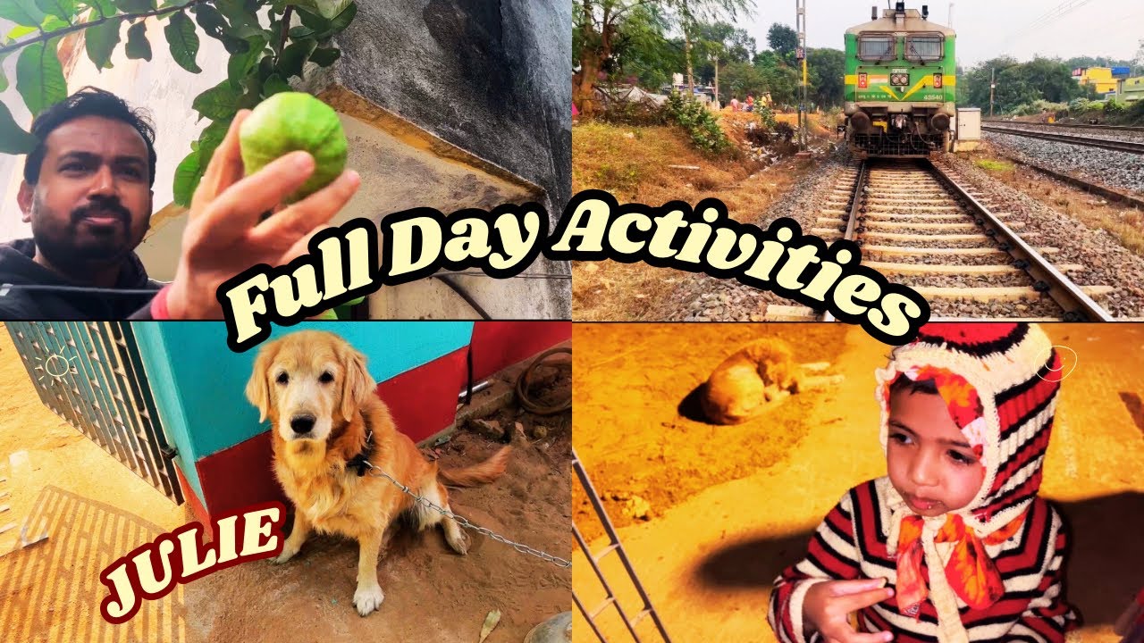 Today's Full-Day Activities | Fun and Eventful Moments! - YouTube
