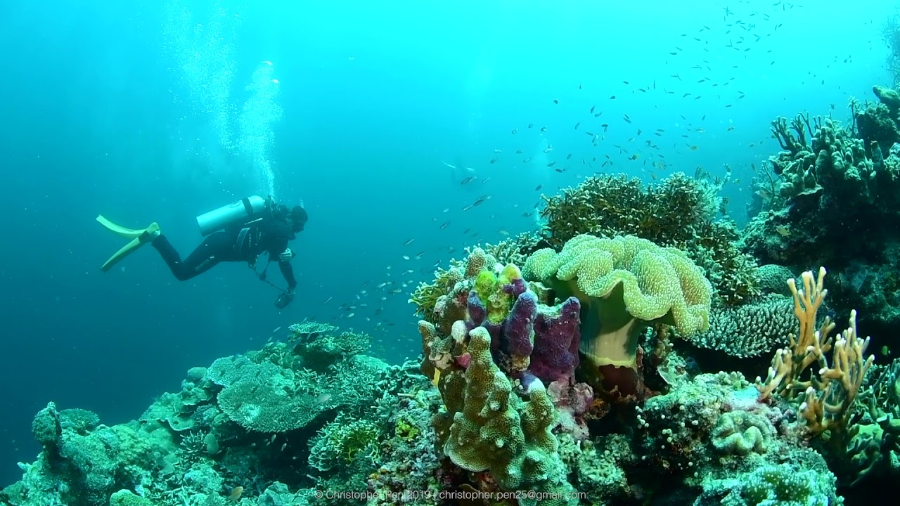 Ameth Village Nusa Laut - YouTube