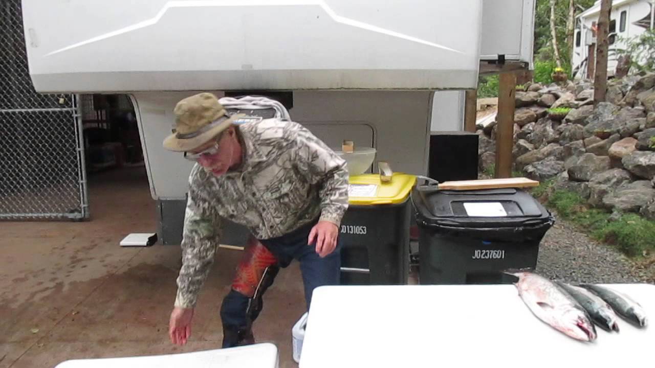 bianca fish story - YouTube