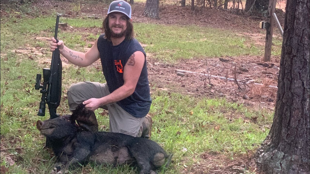 Hog Hunting at (Red Road Outdoors). 350 legend edition - YouTube