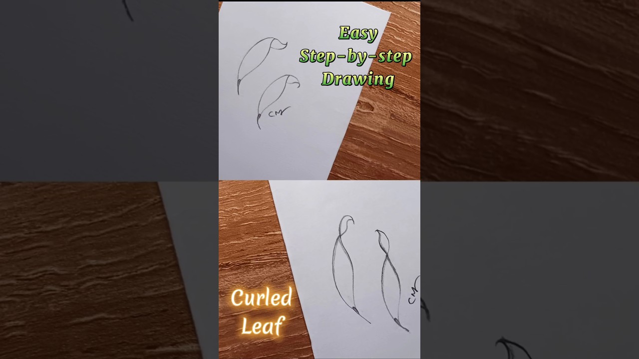Art's🎨Fun Everyone can Draw Curled Leaf Tryit #easy #youtubeshorts # ...