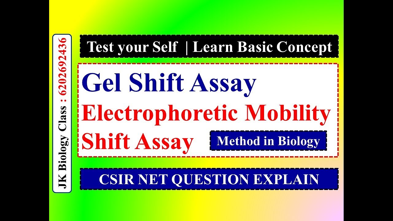 Gel Shift Assay | Electrophoretic Mobility Shift Assay | Methods to ...