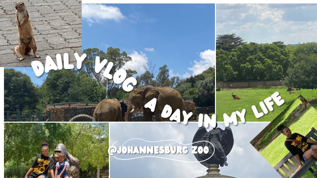 VLOG: A day in my life @JHB Zoo - YouTube