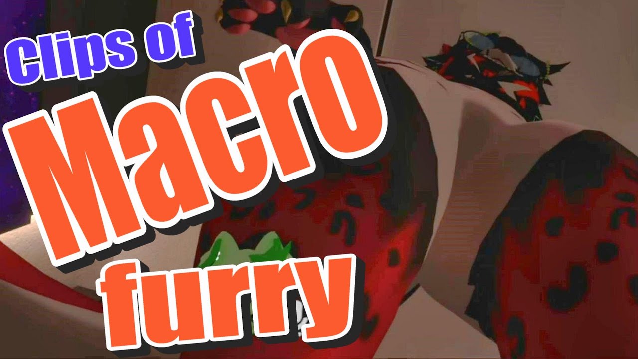 Macro furry community clips #3 - YouTube