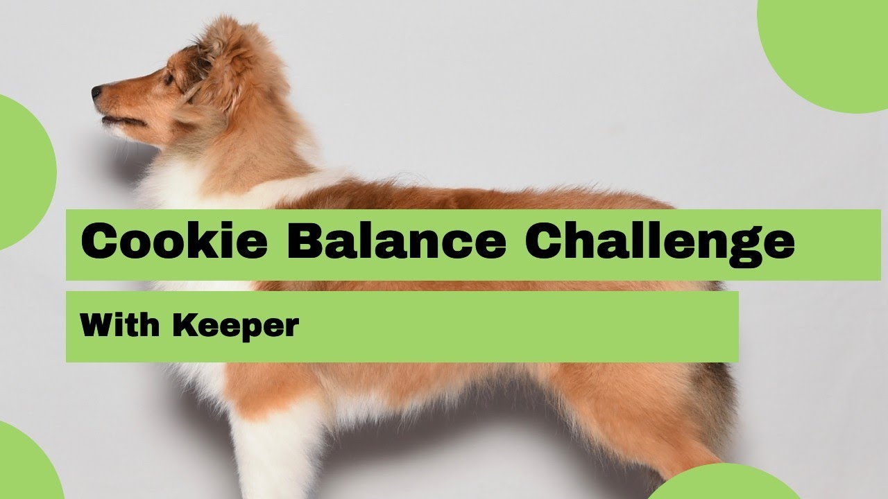 Cookie Balance Challenge - YouTube