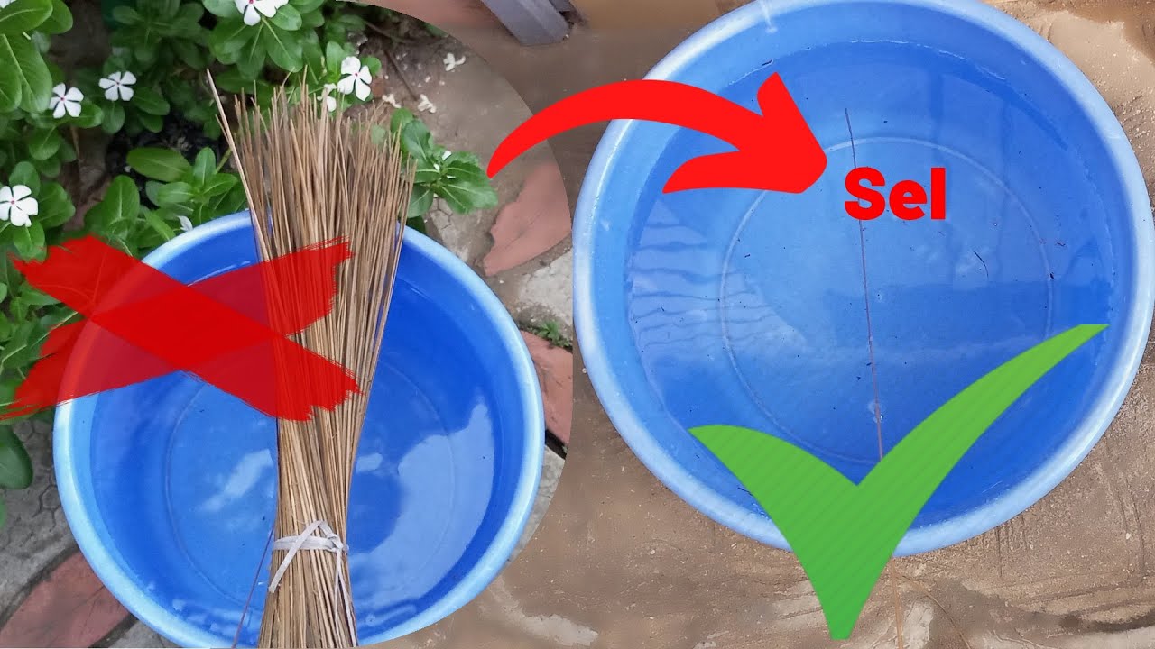 BAIN DE DEBLOCAGE SPIRITUEL AVEC DU SEL - YouTube