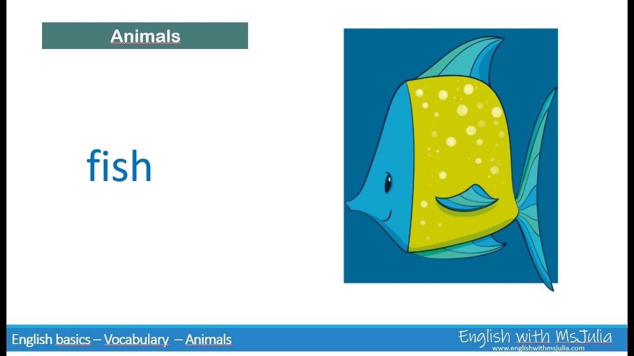 English Basics - Animals - YouTube