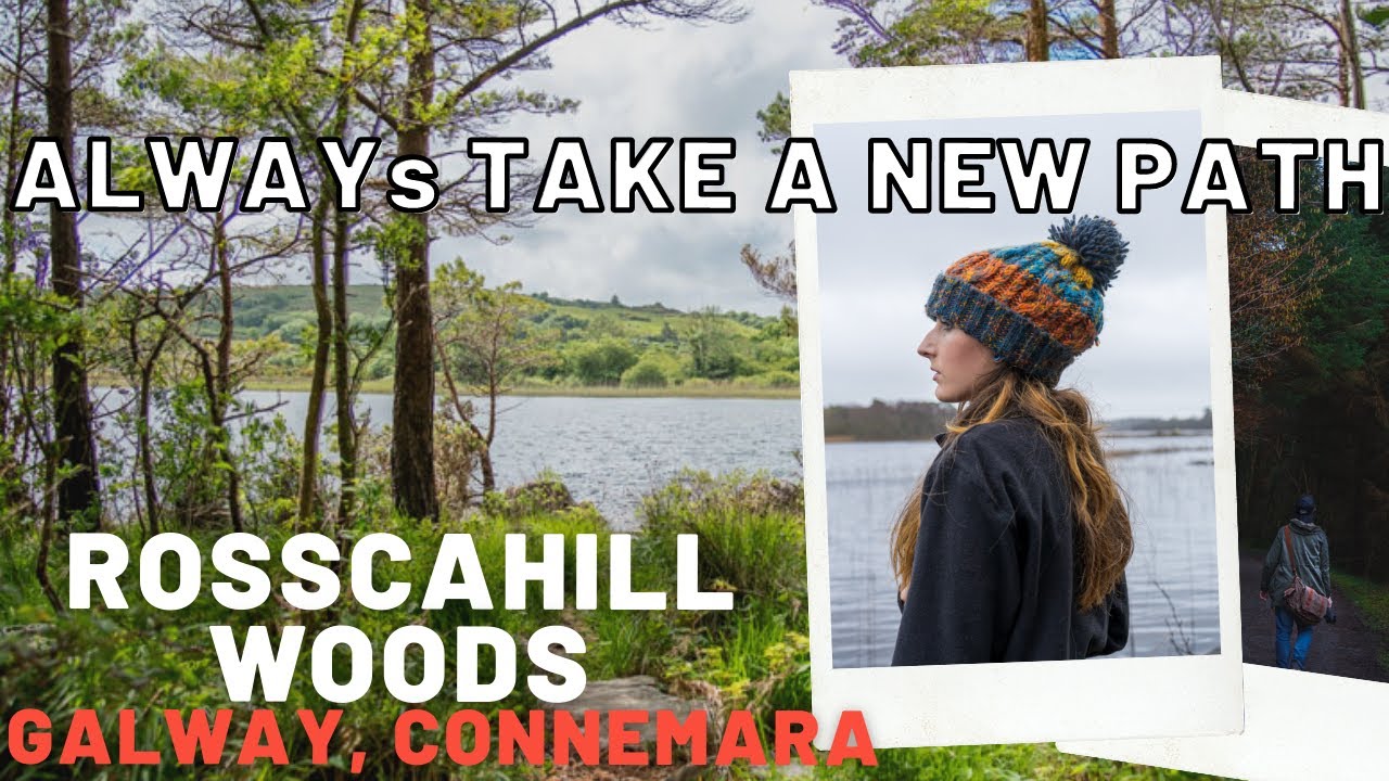 Visit Rosscahill Woods Connemara with me | Things to do in Galway ...