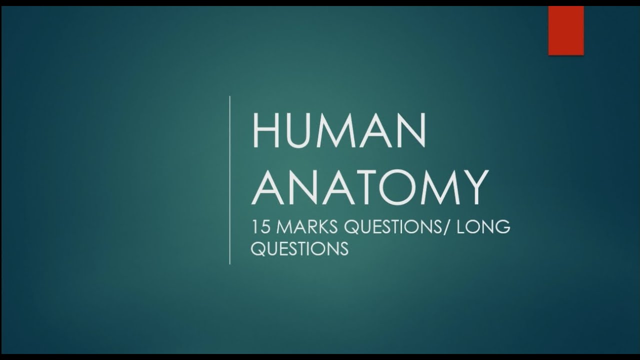 Human Anatomy (15 Marks questions ) first year physiotherapy - YouTube
