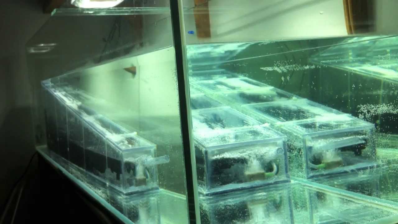 The Tidal Tank Setup - YouTube