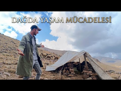 Dağda yaşam mücadelesi iyi sehirler 🤗 #keşfet #kesfeteyim #azad_koyuncu #dağlar #yaşam #koyunlar 