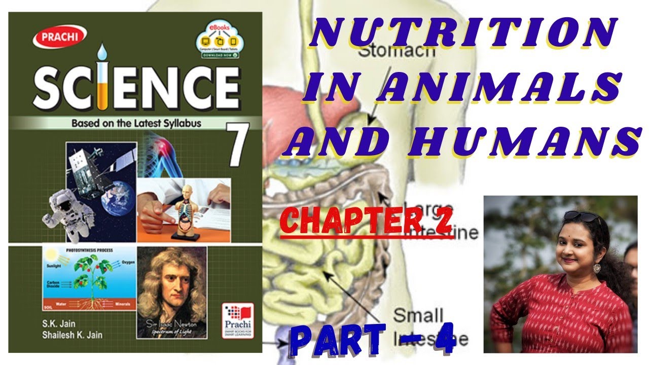 Class 7 Science//Digestion in Stomach, Small Intestine_Absroption ...
