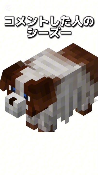 〇〇した人のシーズー #マイクラ #マインクラフトswitch #マインクラフト#minecraft #まいくら #スイッチ - YouTube