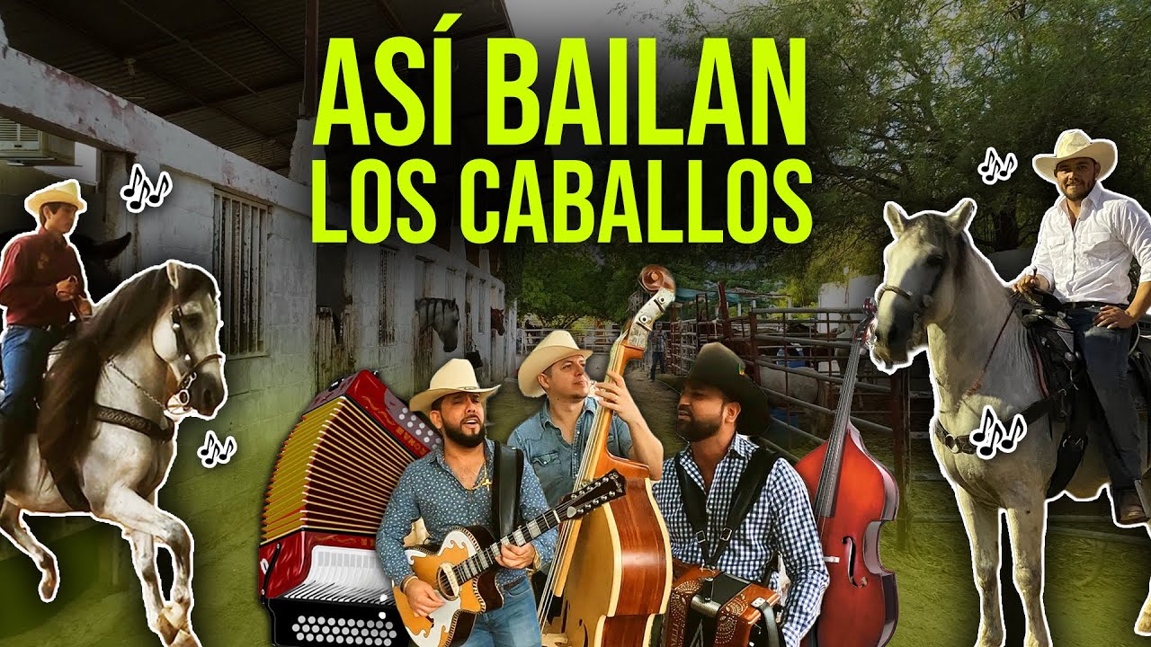 ASÍ BAILAN LOS CABALLOS con el sonido de la Banda Norteña en Sonora ...