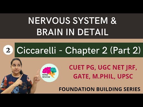 Ciccarelli Chapter 2 | Part 2 | Nervous System and Brain in Detail | Mind Review - YouTube