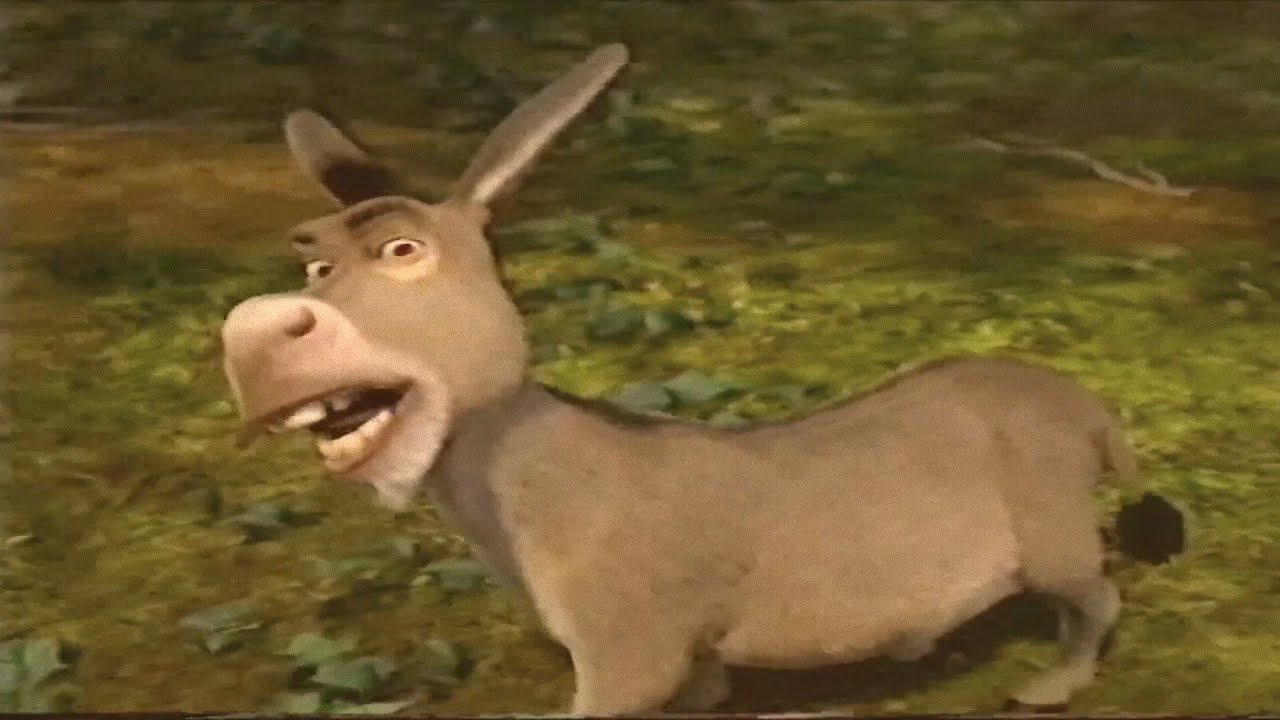 Shrek 1 & 2: Donkey (VHS Capture) (Filters) - YouTube