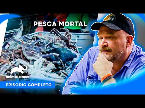 Episodio completo | Pesca Mortal - S11 Ep1 | Animal Planet Latinoamérica