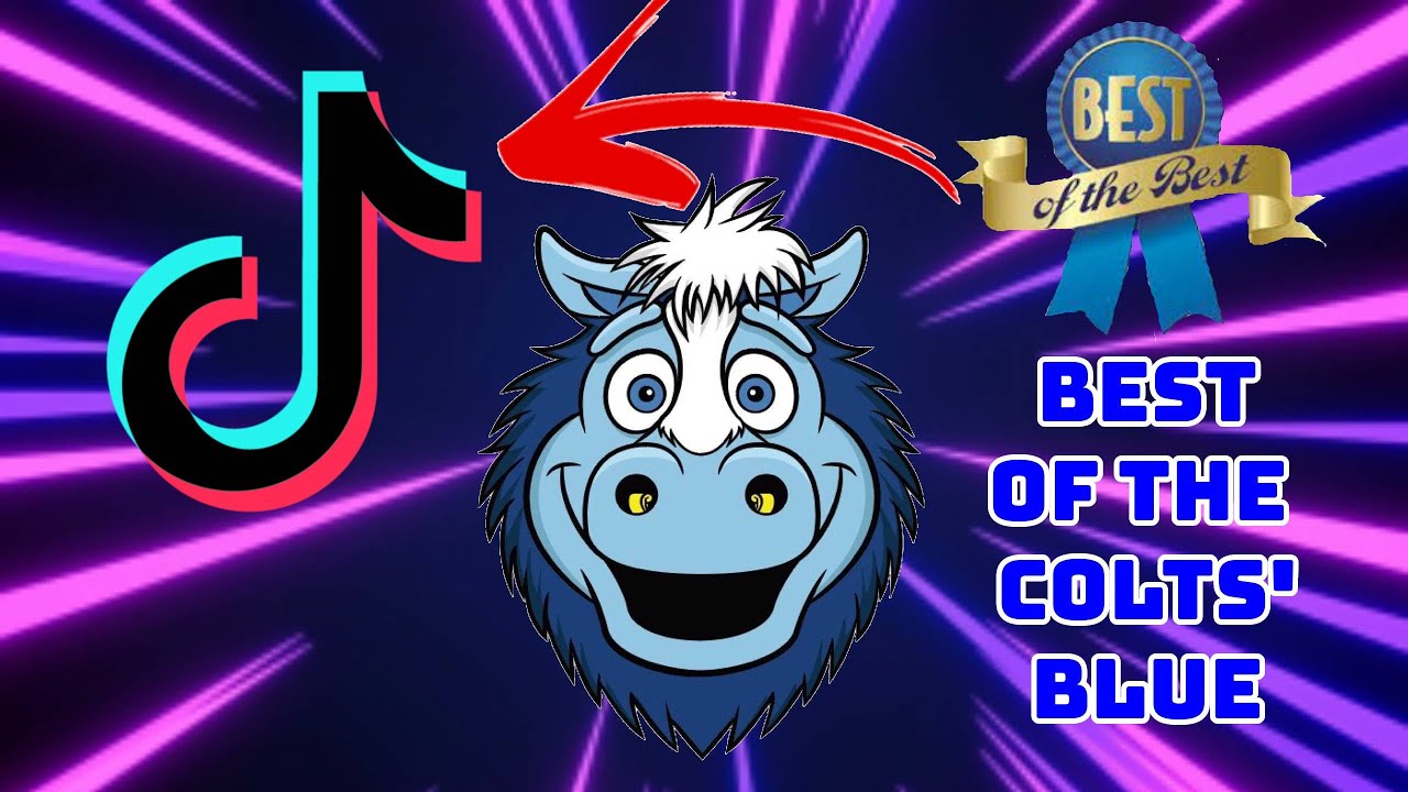 Indianapolis Colts Mascot Cartoon